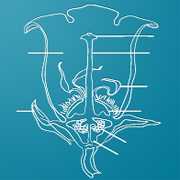 Login - APUS Credentialing Assistance